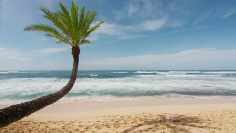 Shadow Dropping Stock Videos – Royalty-Free HD & 4K Videos | Pond5