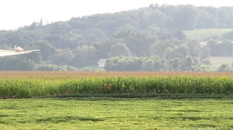 Down The Crop Stock Videos – Royalty-Free HD & 4K Videos