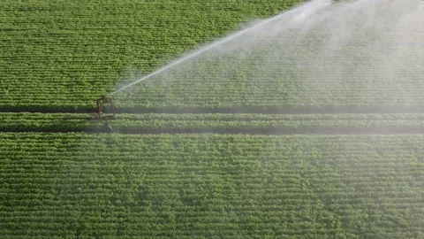 Crop irrigation machine using center piv... | Stock Video | Pond5