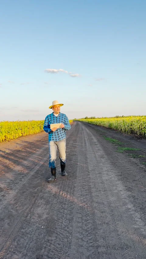 Crop management with smart devices, Remo... | Stock Video | Pond5