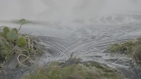 Cross flow of water, stream with clean c... | Stock Video | Pond5
