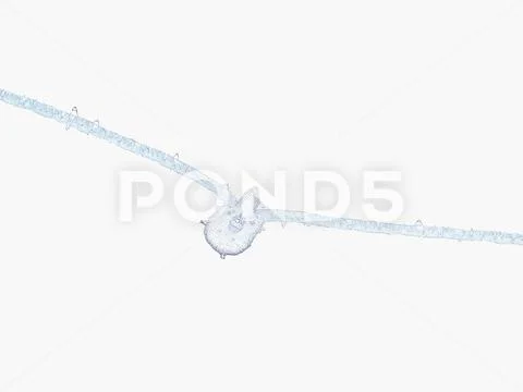 Photograph: Cross section cut under microscope microscopic view of ...