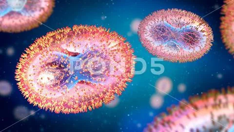 Cross section of a smallpox pathogen with cell membrane: Royalty Free ...