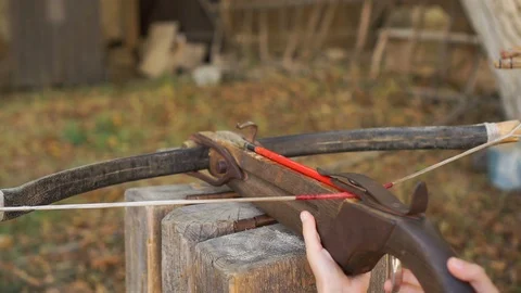 Crossbow aiming and shooting with child ... | Stock Video | Pond5