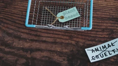 Crossed out animal cruelty product label... | Stock Video | Pond5