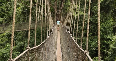 Crossing Rope bridge jungle Kakum Nation... | Stock Video | Pond5