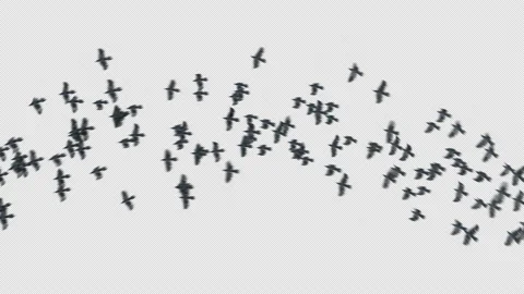 Crow, Bird, Bat, 3D Render, With Alpha C... | Stock Video | Pond5