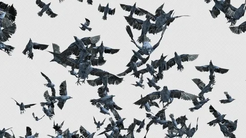 Crow, Bird, Bat, 3D Render, With Alpha C... | Stock Video | Pond5