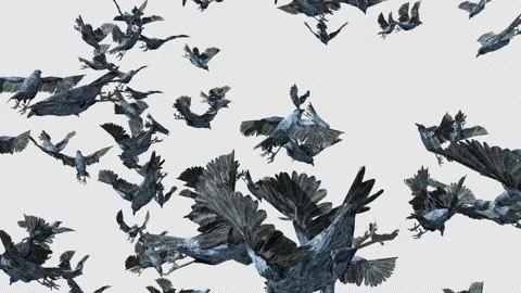 Crow, Bird, Bat, 3D Render, With Alpha C... | Stock Video | Pond5