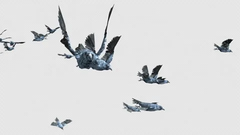 Crow, Bird, Bat, 3D Render, With Alpha C... | Stock Video | Pond5
