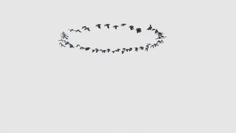 Crow, Bird, Bat, 3D Render, With Alpha C... | Stock Video | Pond5