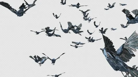 Crow, Bird, Bat, 3D Render, With Alpha C... | Stock Video | Pond5