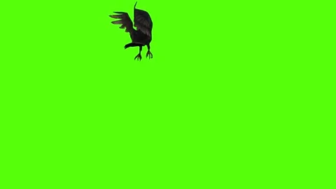 Crow Bite Green Screen Animation 4K Rend... | Stock Video | Pond5