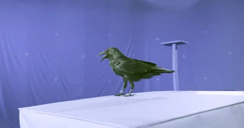 Blue Screen Stock Video Footage | Royalty Free Blue Screen Videos | Pond5