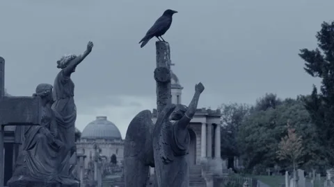 Crow on dramatic gravestone | Stock Video | Pond5