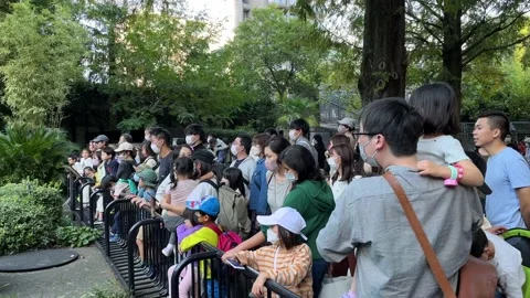 Crowd Of Adults and Kids at a Zoo Lookin... | Stock Video | Pond5