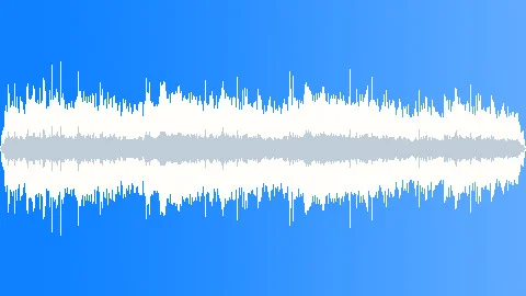 CROWD, INDOOR - LARGE INDOOR AUDIENCE: CONCERT HALL: GENERAL WALLA ...