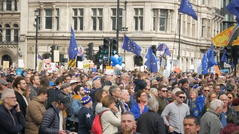 Listening Crowd Stock Videos – Royalty-Free HD & 4K Videos