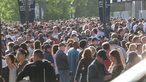 Culture Stock Footage ~ Royalty Free Stock Videos | Pond5