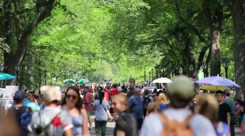 Crowd Of Pedestrians In Central Park HD | Stock Video | Pond5