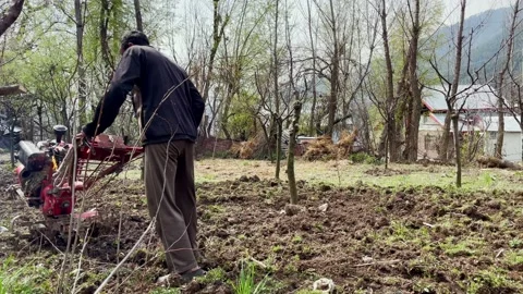Crowd of People Jammu and kashmir smily ... | Stock Video | Pond5
