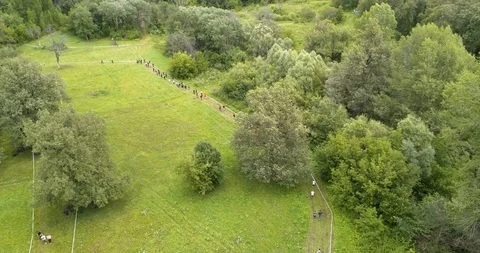 Aerial Obstacle Course Stock Videos – Royalty-Free HD & 4K Videos | Pond5