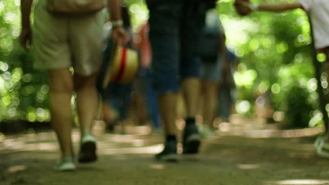 Crowd Walk Through Stock Footage ~ Royalty Free Stock Videos | Pond5