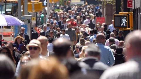 Crowd T Stock Videos – Royalty-Free HD & 4K Videos | Pond5