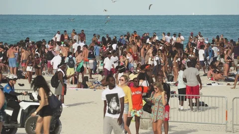 Sunny Spring Day Stock Videos – Royalty-Free HD & 4K Videos | Pond5