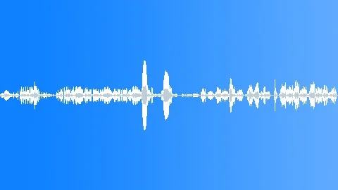 Sound Effect: Crowds Chanting Teenage Concert Big Crowd Girls Singing ...