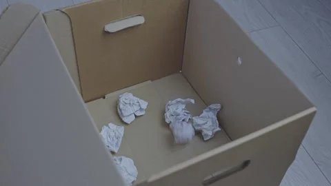 Crumpled Box Stock Video Footage | Royalty Free Crumpled Box Videos | Pond5