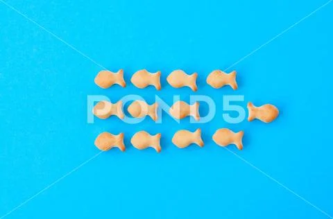 Crunchy fish crackers on a blue background. ~ Hi Res #126976018