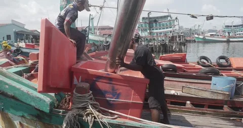 Ice Loading Stock Videos – Royalty-Free HD & 4K Videos