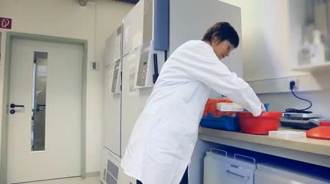 Human Cryogenics Stock Videos – Royalty-Free HD & 4K Videos | Pond5