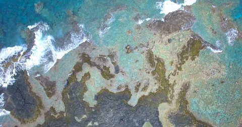 Crystal-clear blue ocean reef reveals co... | Stock Video | Pond5