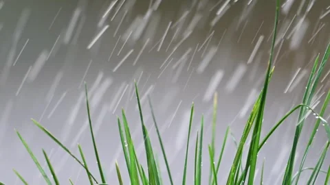 Crystal-clear raindrops splash on grass,... | Stock Video | Pond5