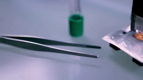 Body Tube Microscope Stock Videos – Royalty-Free HD & 4K Videos