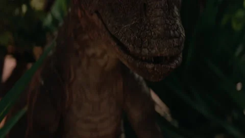 CU Shot of a dinosaur tyrannosaurus t-re... | Stock Video | Pond5