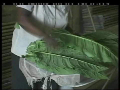 Ban Cigar Stock Videos – Royalty-Free HD & 4K Videos