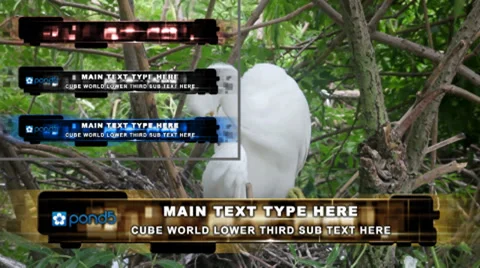 Cube World Lower Third ~ After Effects Template #27573534