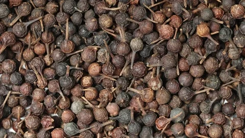 Piper2020$ Stock Videos – Royalty-Free HD & 4K Videos | Page 4