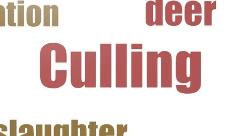 Culling Word Cloud Animated On White Bac... | Stock Video | Pond5