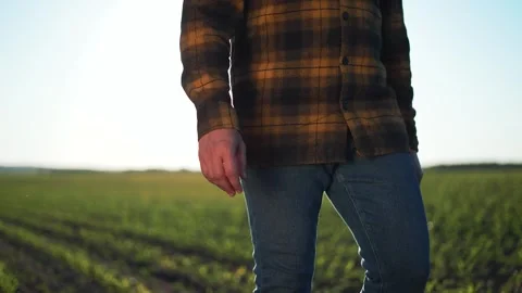 Cultivating crops on farm. Daily routine... | Stock Video | Pond5