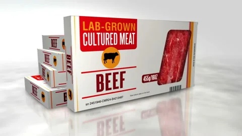 Cultured meat lab-grown box abstract con... | Stock Video | Pond5