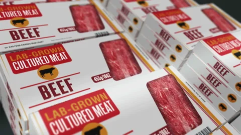 Cultured meat lab-grown pack production ... | Stock Video | Pond5