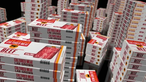 Cultured meat lab-grown pack production ... | Stock Video | Pond5