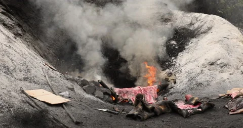 Curing burning goat animal skin hides ov... | Stock Video | Pond5