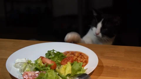 Steal Watch Stock Videos – Royalty-Free HD & 4K Videos | Pond5