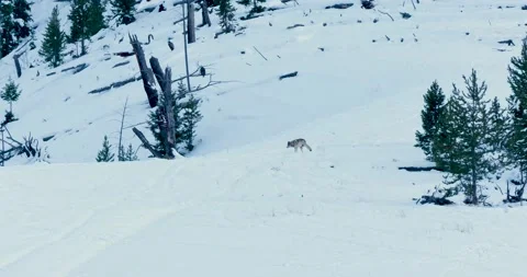 Frozen Watches Stock Videos – Royalty-Free HD & 4K Videos