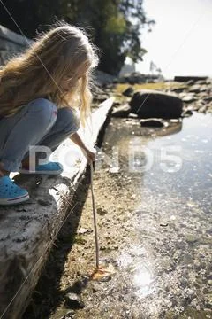 Curious girl with stick on fallen log over sunny tidal pool water ...